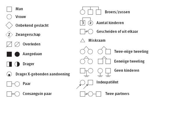 Erfelijkheid - stambomen - YouTube