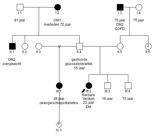 Oefeningen stamboom tekenen | Huisarts en Genetica